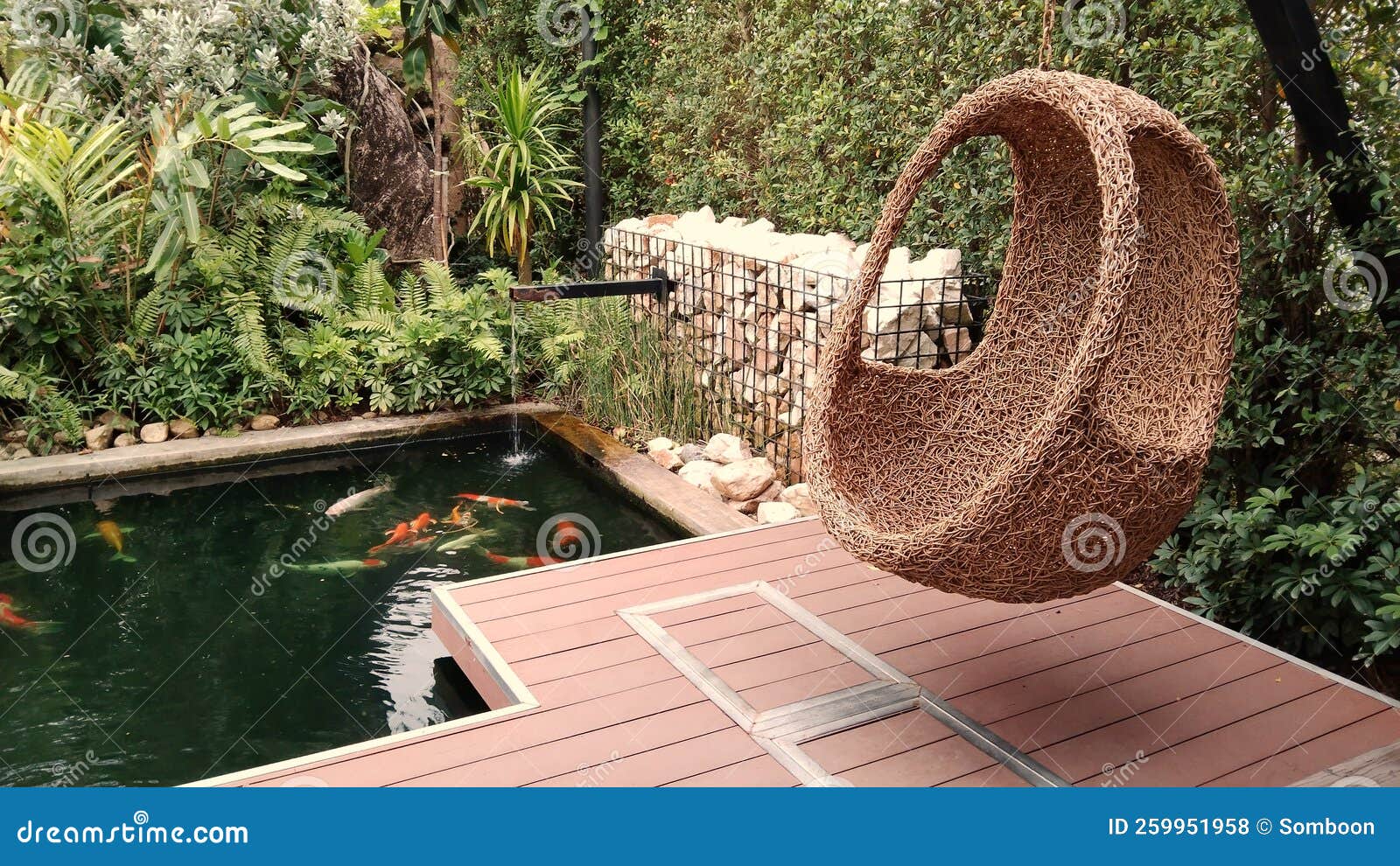 The Swing Bird Net in the Pool Garden Stock Photo - Image of resort ...