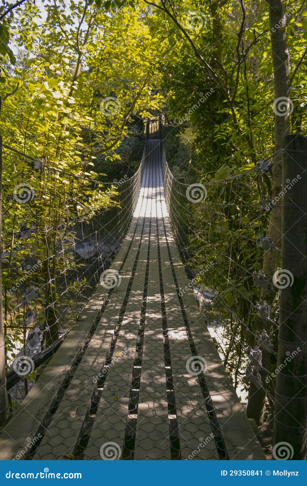Swing Bridge stock image. Image of cross, footbridge - 29350841