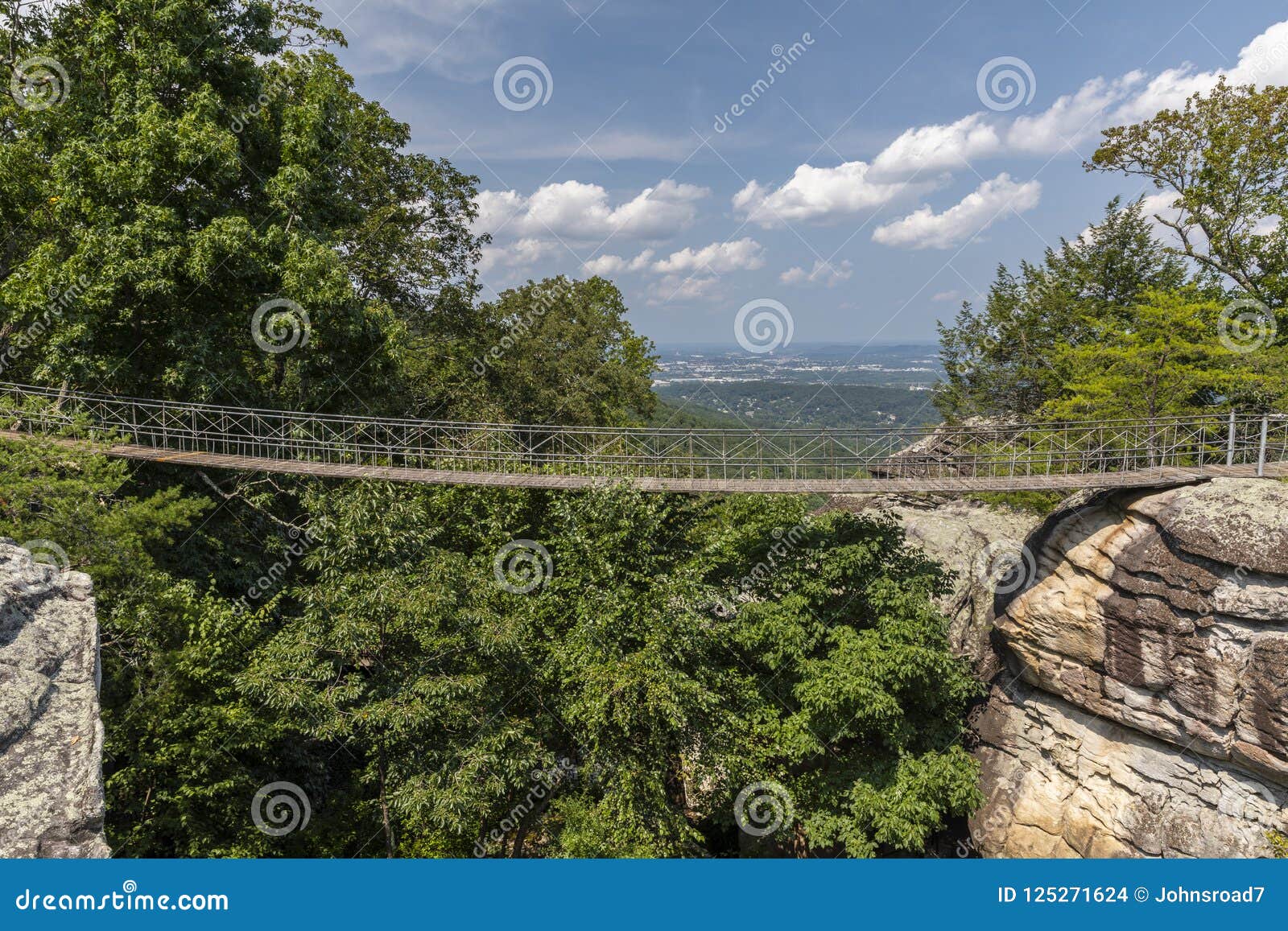 Swing Bridge Over Small Canyon Stock Photo - Image of green, mountains ...