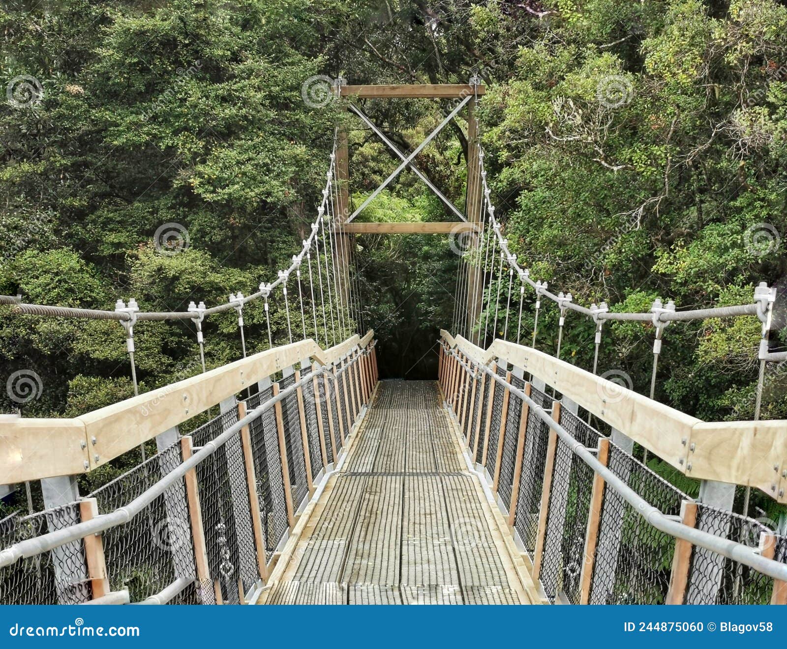 A Swing Bridge on a Walking Track Stock Photo - Image of arch, walking ...
