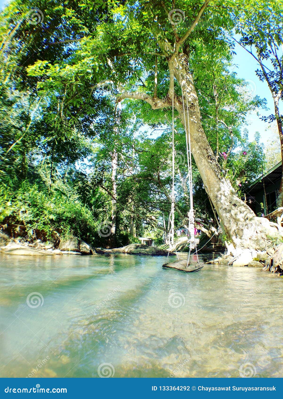 Swing on clear water stock photo. Image of swing, nature - 133364292