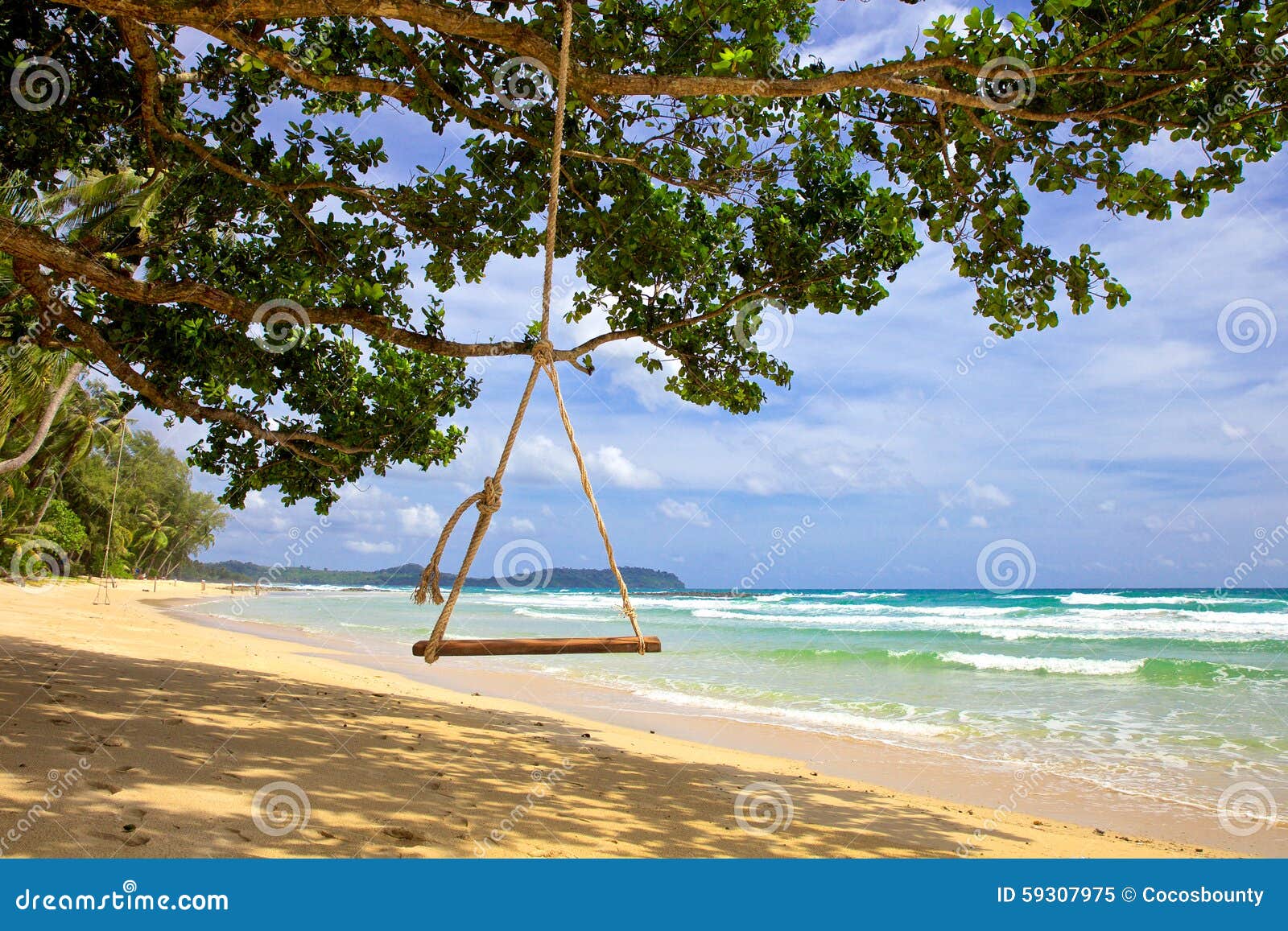 Swing Hang from Tree Over Beach Sea Stock Image - Image of andaman ...