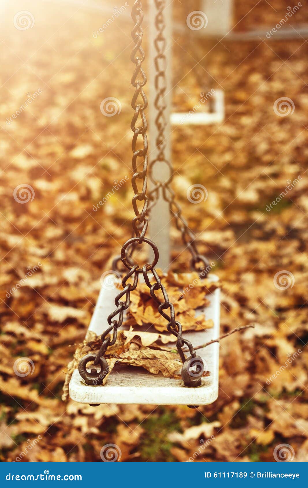 Swing with leaves stock image. Image of background, object - 61117189