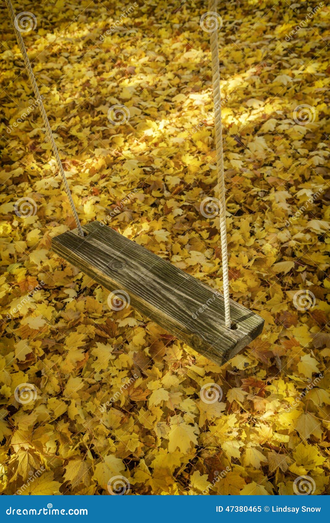 Swing and Leaves stock image. Image of fall, natural - 47380465