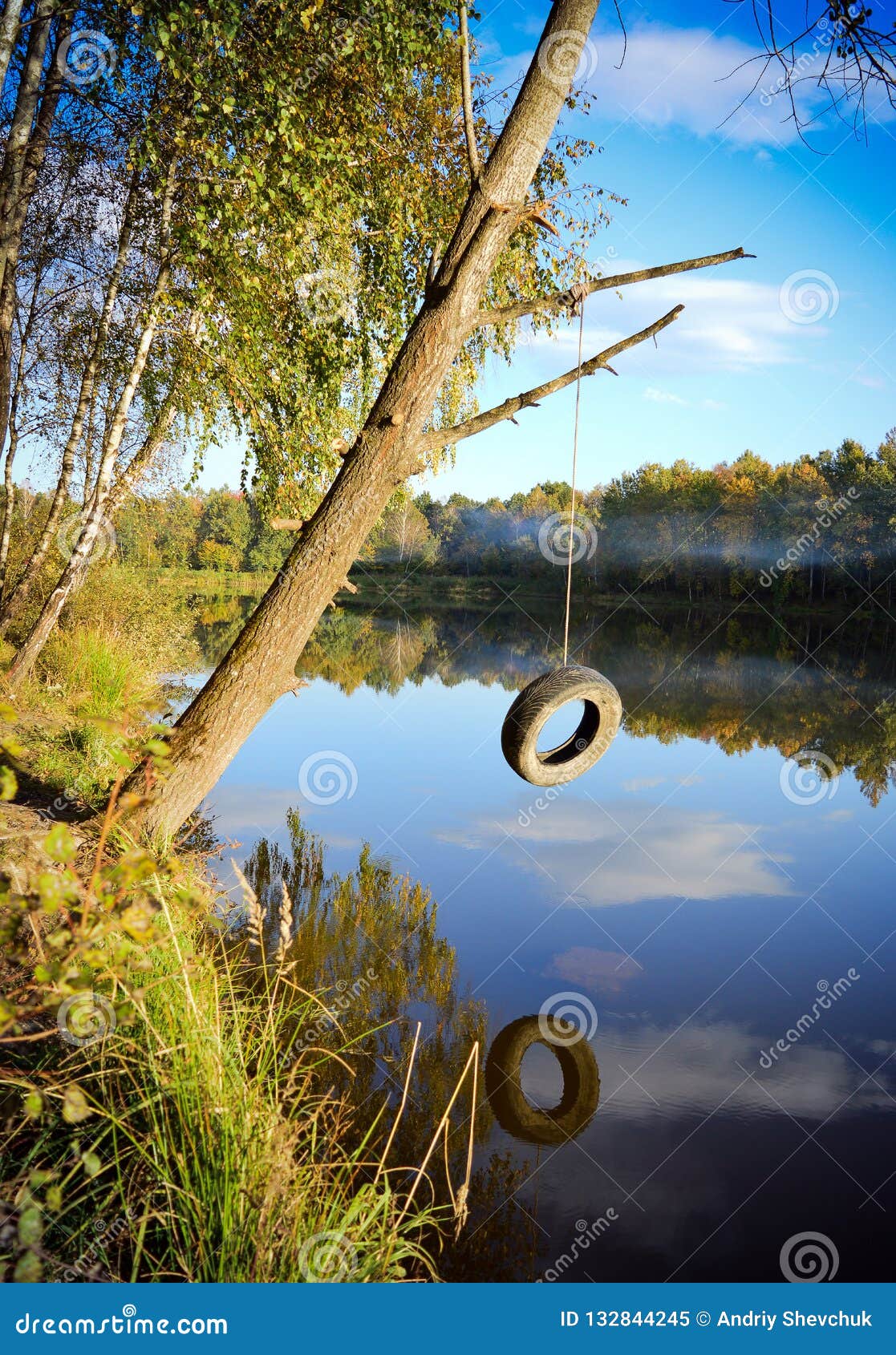 Swing over the pond stock image. Image of ride, nature - 132844245