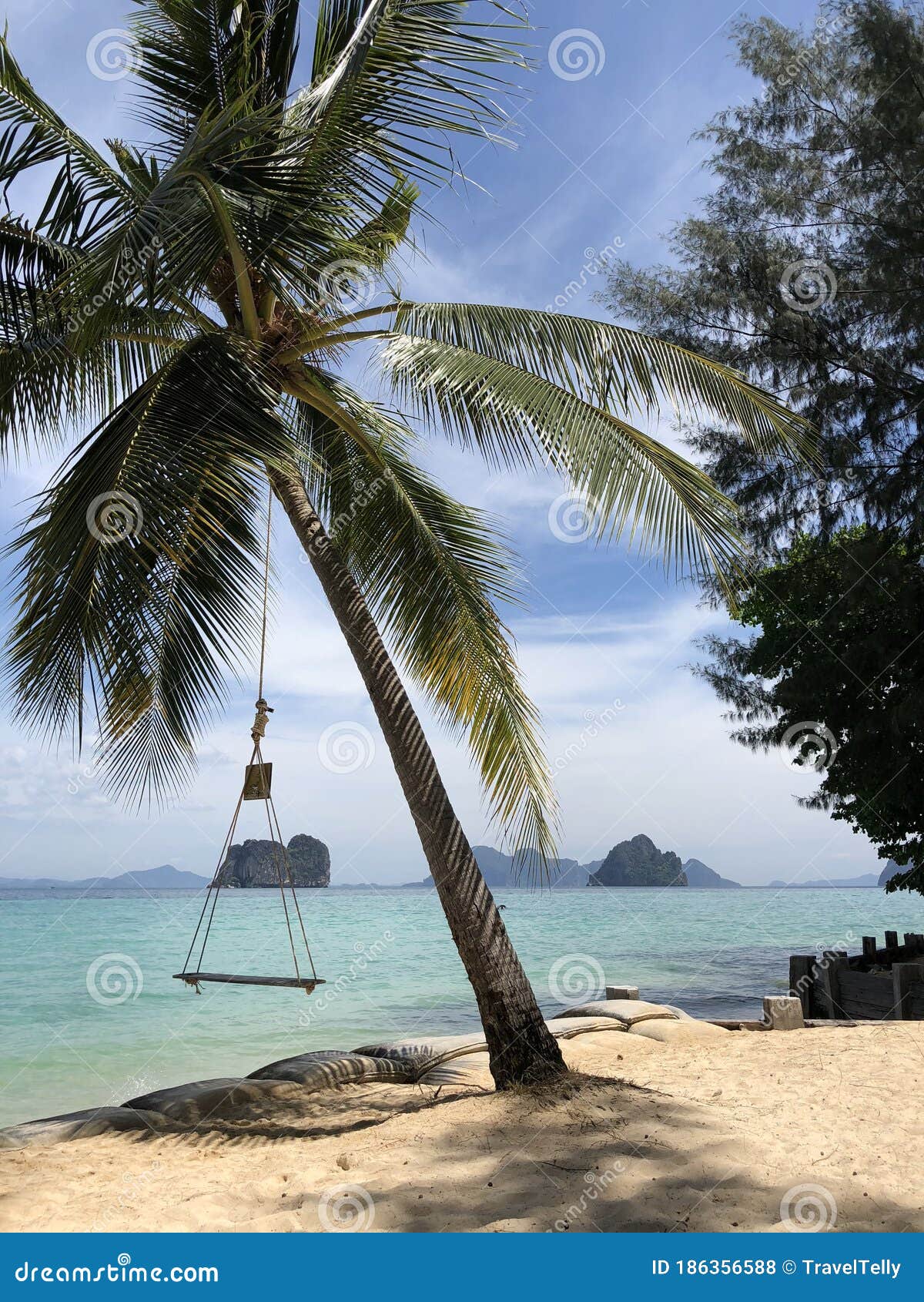 Swing at a palm tree stock photo. Image of vertical - 186356588