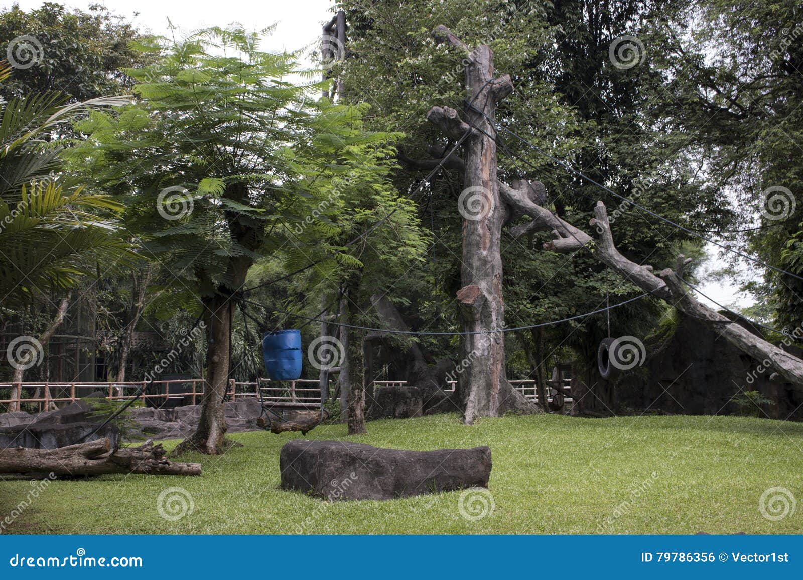 Swing Playground for Primate Stock Photo - Image of play, playground ...