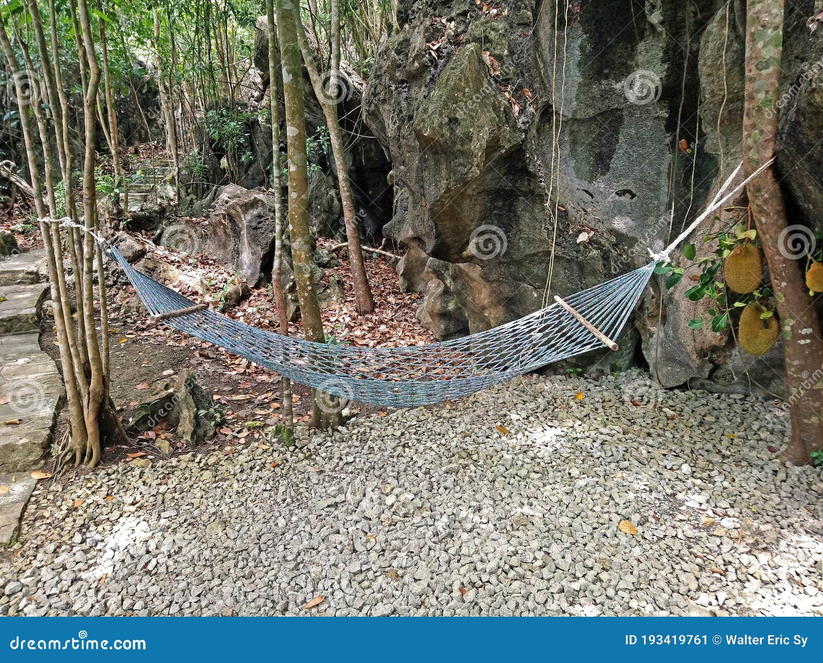 Swing Rest Made from Ropes Hanging in Tree Trunk Stock Image - Image of ...