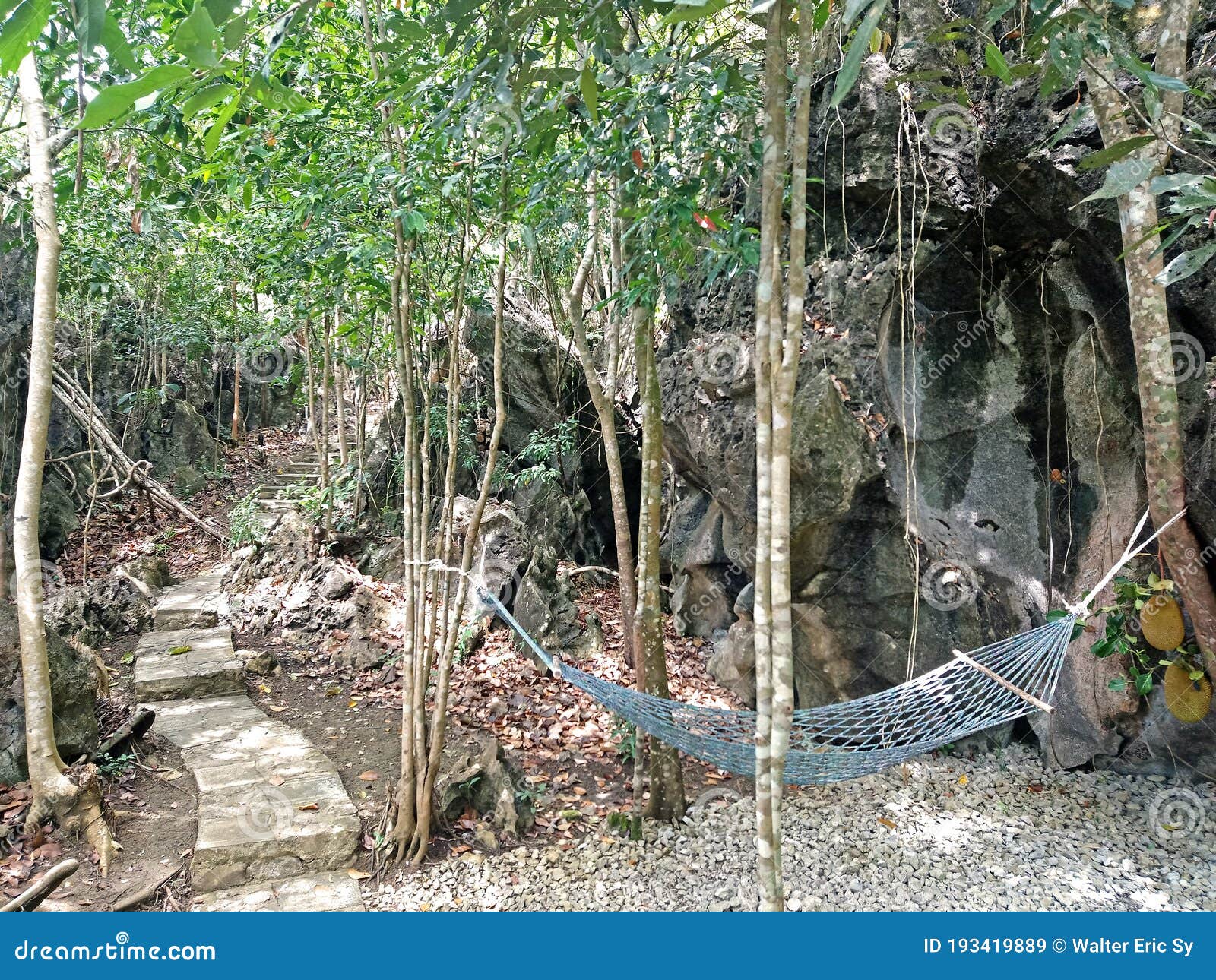 Swing Rest Made from Ropes Hanging in Tree Trunk Stock Image - Image of ...