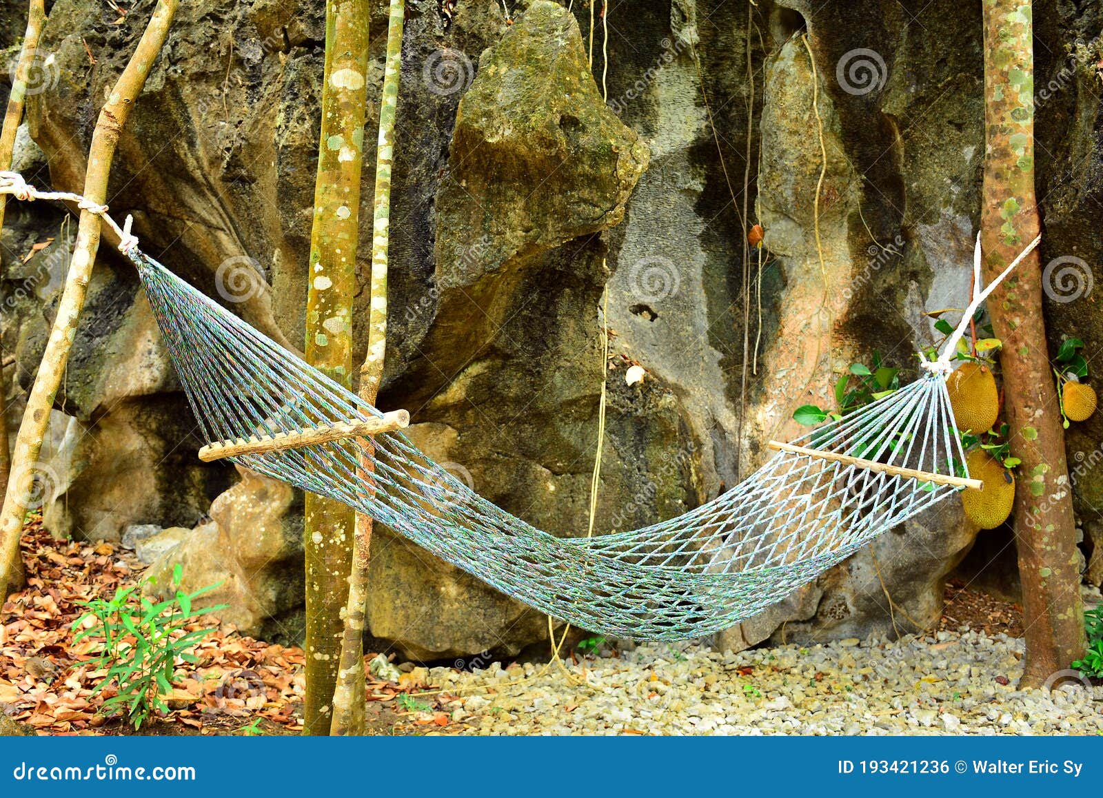 Swing Rest Made from Ropes Hanging in Tree Trunk Stock Photo - Image of ...