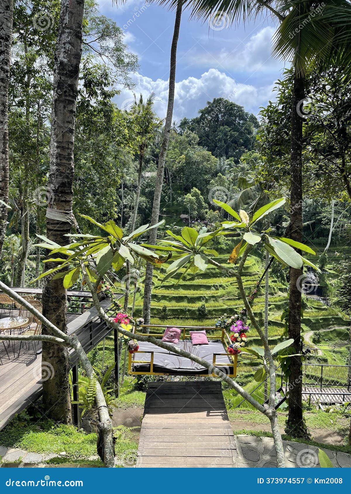 Rice Terrace,Bali Royalty-Free Stock Photography | CartoonDealer.com ...