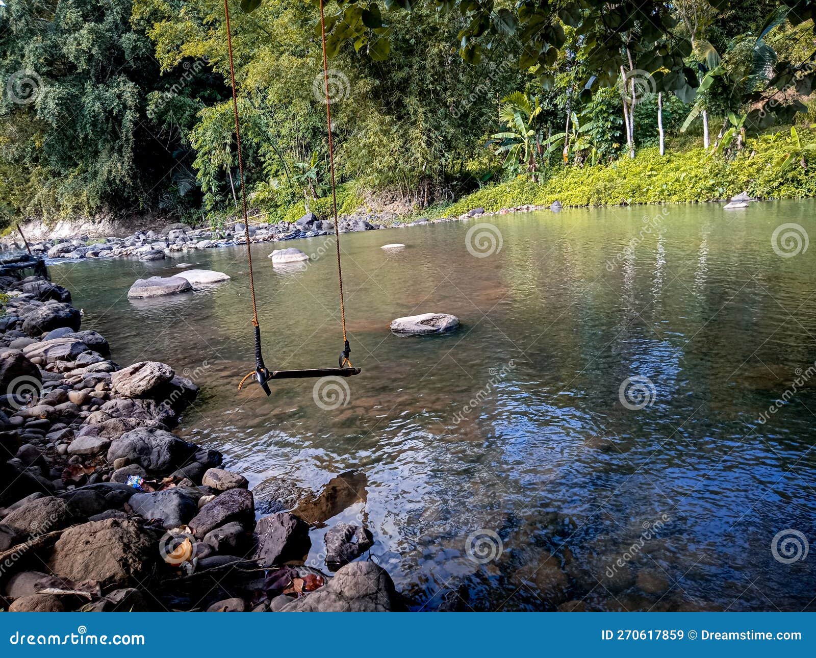 A swing by the river stock image. Image of water, tree - 270617859