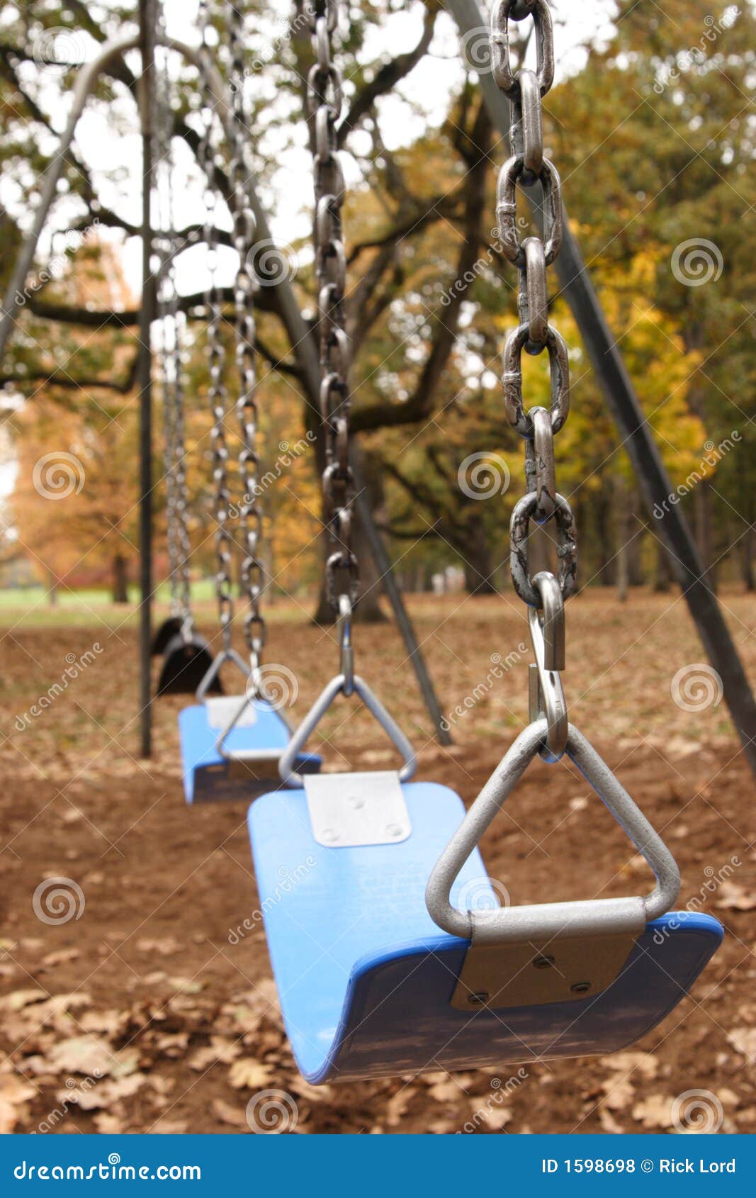 Swing Set in Autumn stock photo. Image of bark, season - 1598698