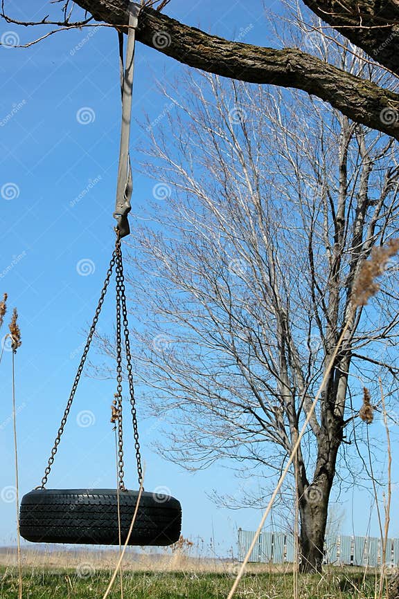 Swing tire stock image. Image of meadow, trees, field - 1103051