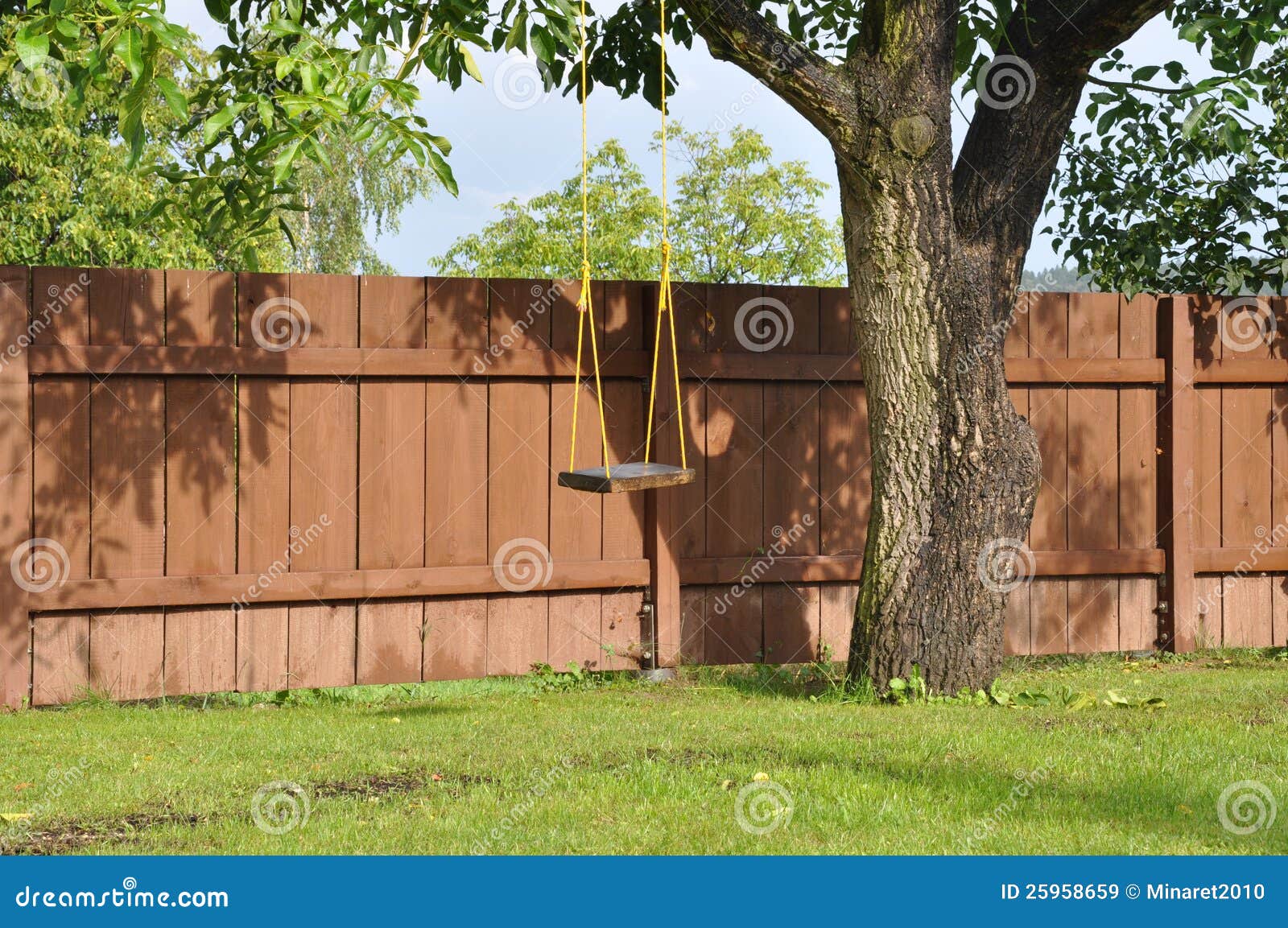 Swing on the tree stock image. Image of floral, board - 25958659