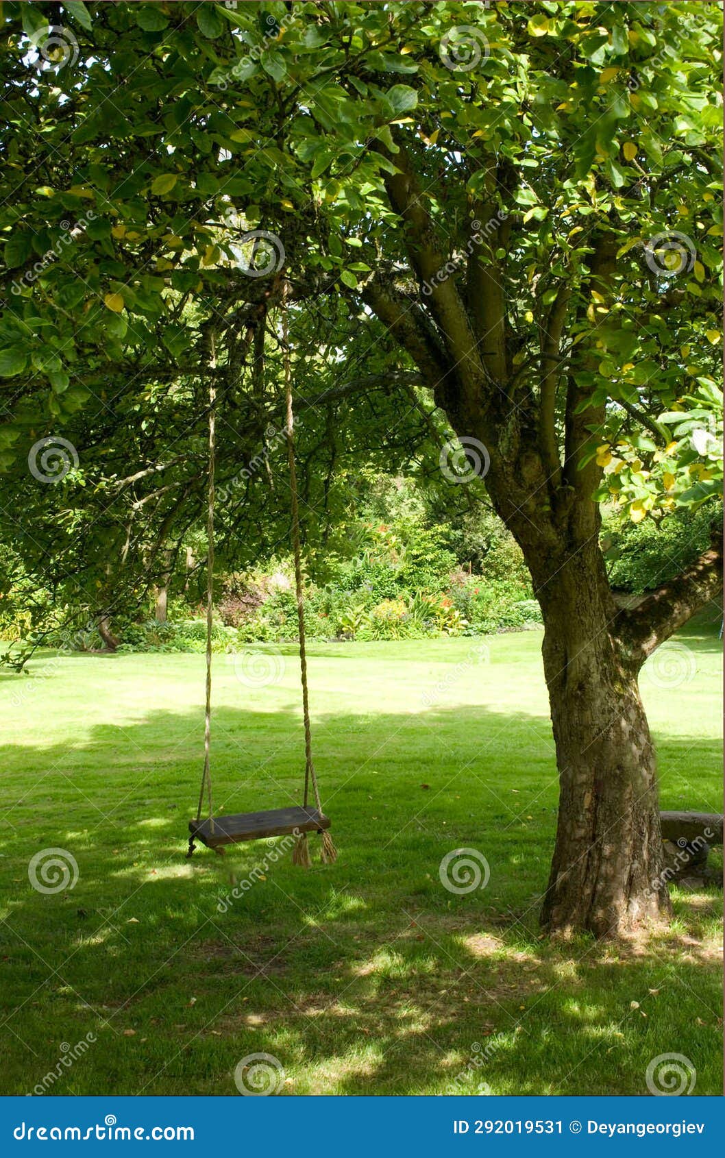 A swing on a tree stock illustration. Illustration of tranquility ...