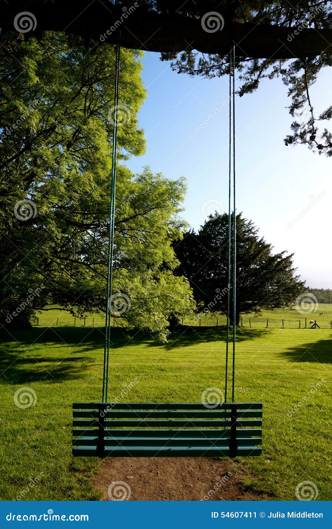 Swing on a tree ireland stock image. Image of field, grass - 54607411