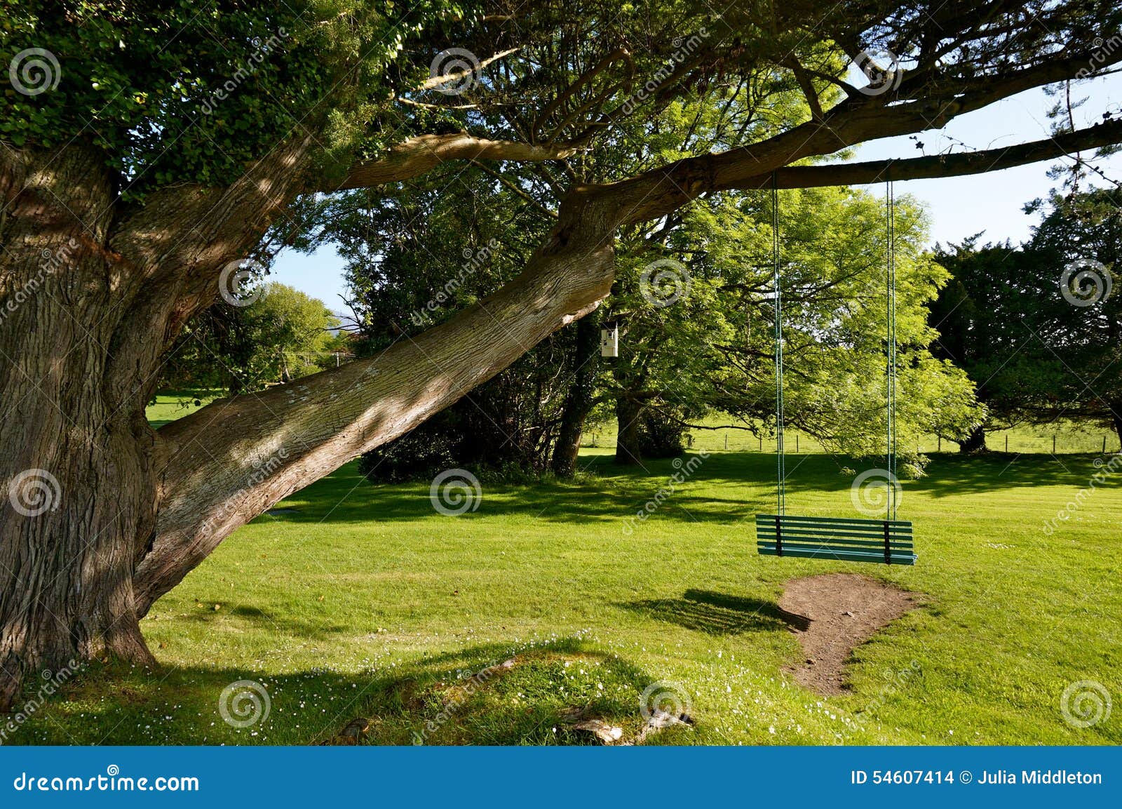 Swing on a tree ireland stock photo. Image of outdoor - 54607414