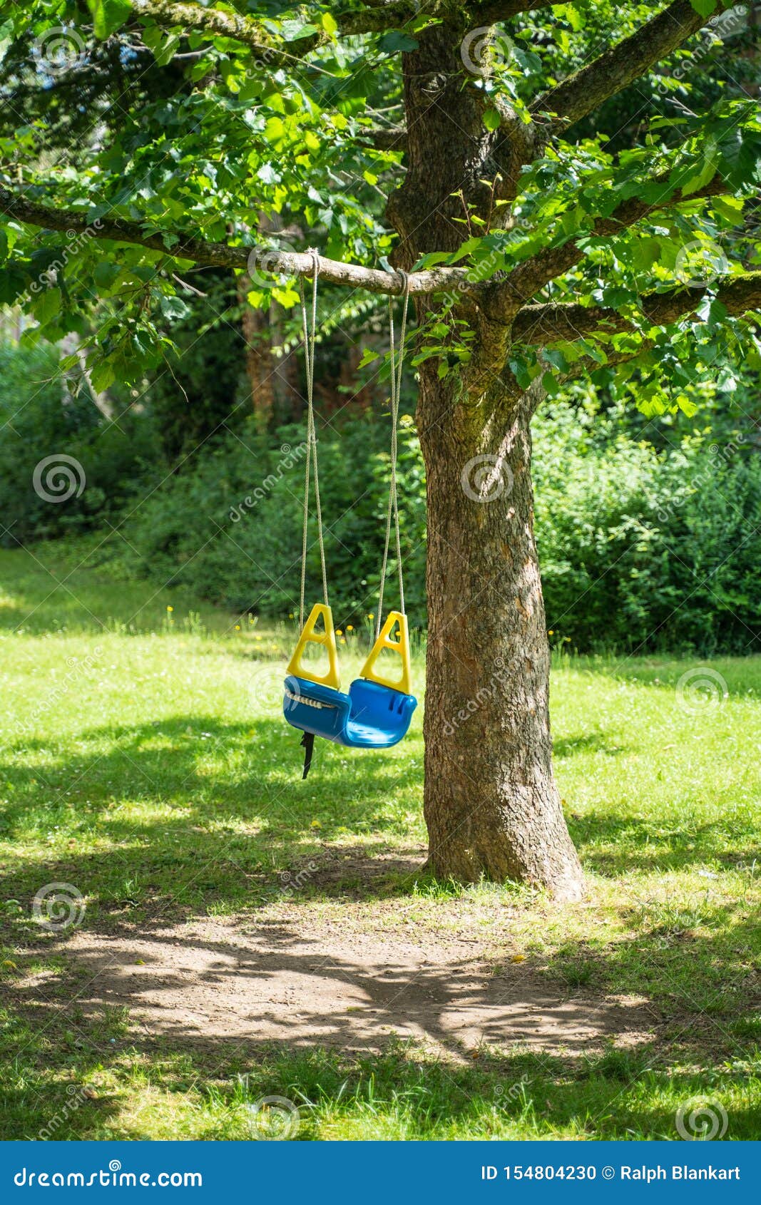 Swing on a Tree in the Park Stock Photo - Image of morning, green ...