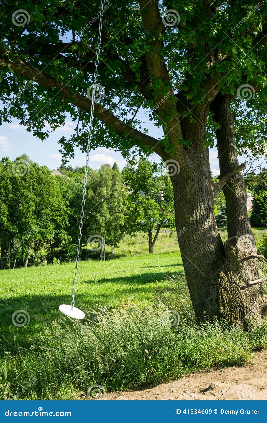 Swing on the tree stock image. Image of relaxation, forest - 41534609