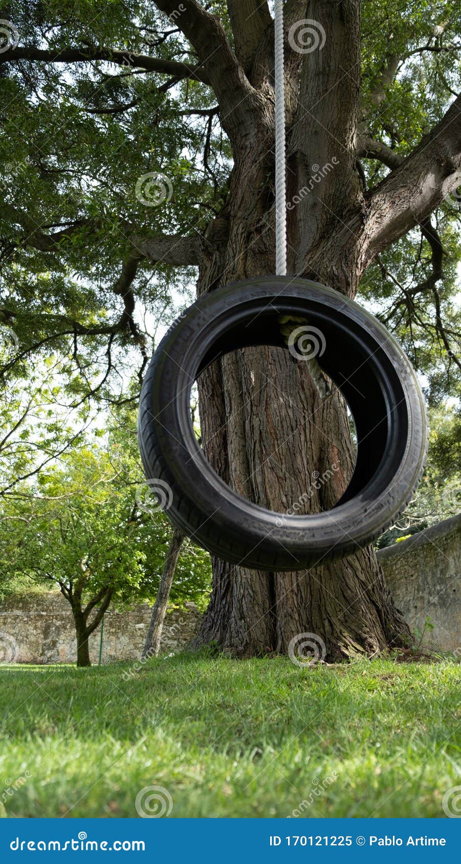 Swing in a Tree with a Wheel Car Stock Image - Image of vintage, wheel ...