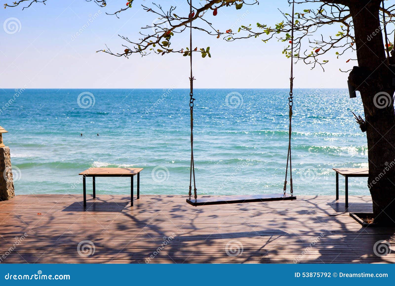 Swing Under the Tree Near the Beach Stock Photo - Image of tree ...