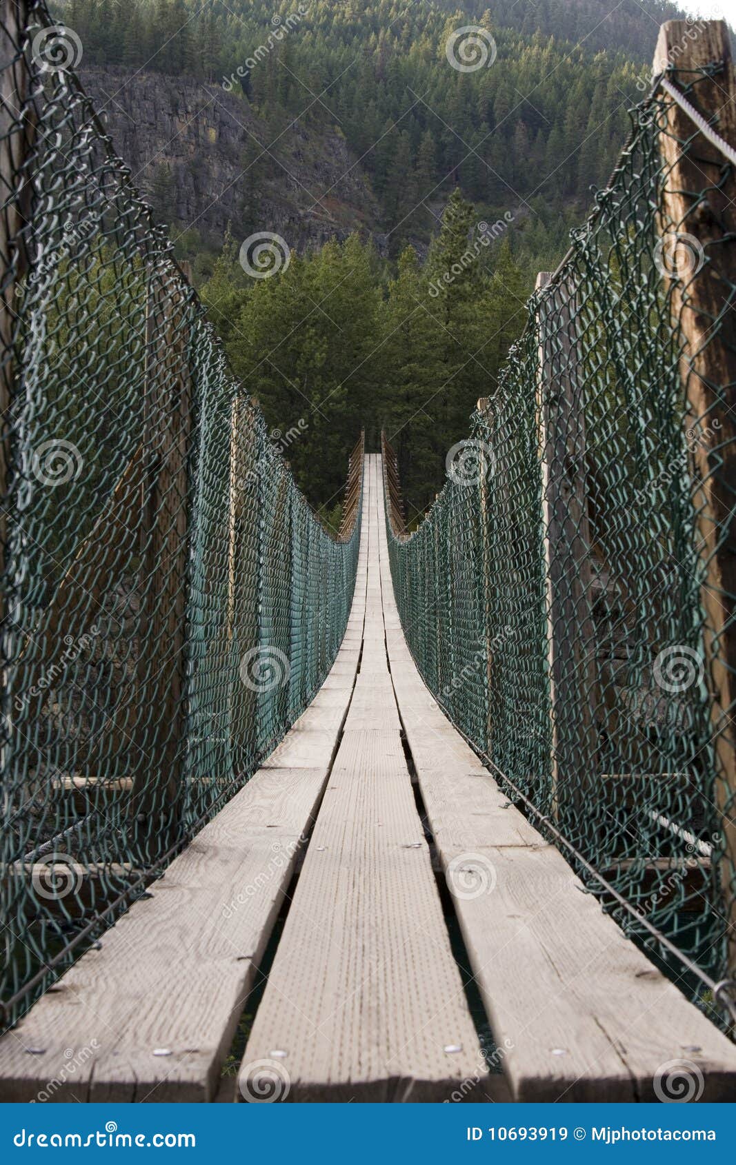 Swinging Bridge stock image. Image of swinging, span - 10693919