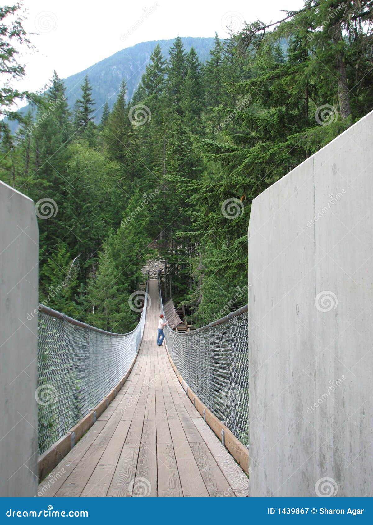 Swinging Bridge stock image. Image of view, structure - 1439867