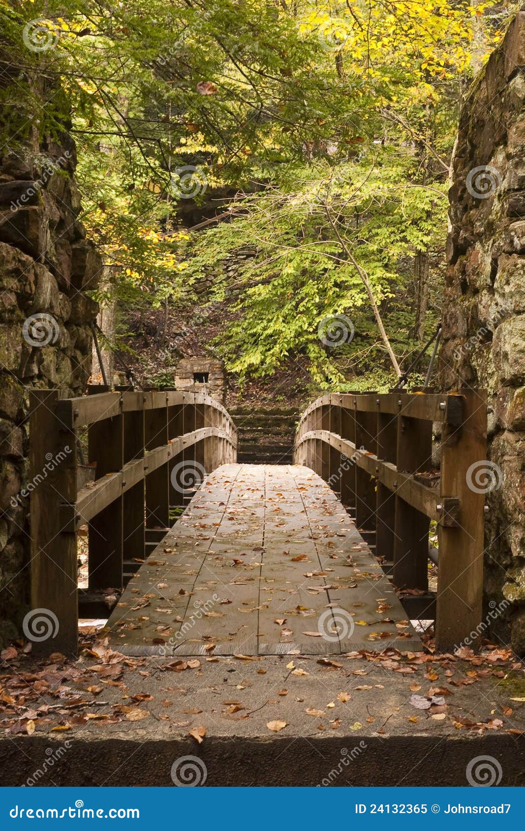Swinging Bridge stock image. Image of hiking, bridge - 24132365