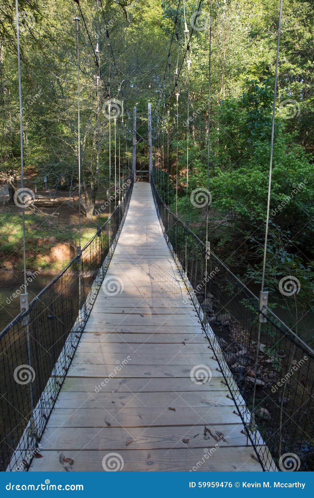 Swinging Bridge stock photo. Image of woods, architecture - 59959476