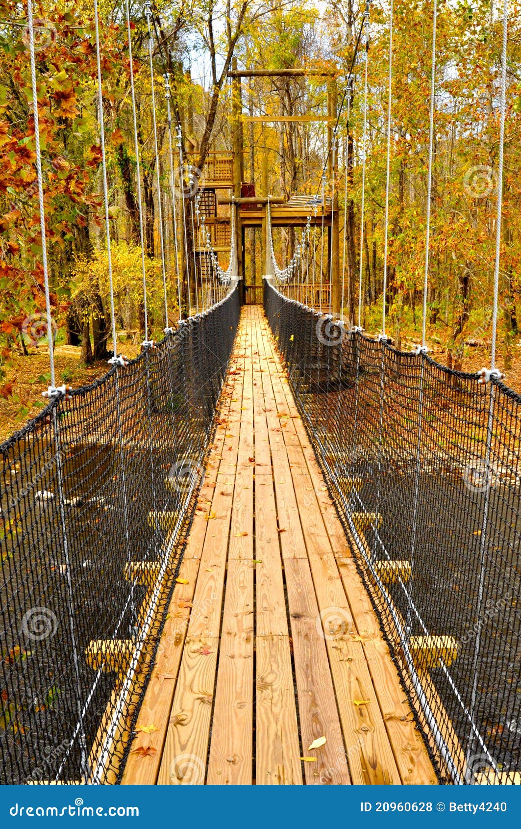 Swinging bridge in fall stock photo. Image of river, scenic - 20960628