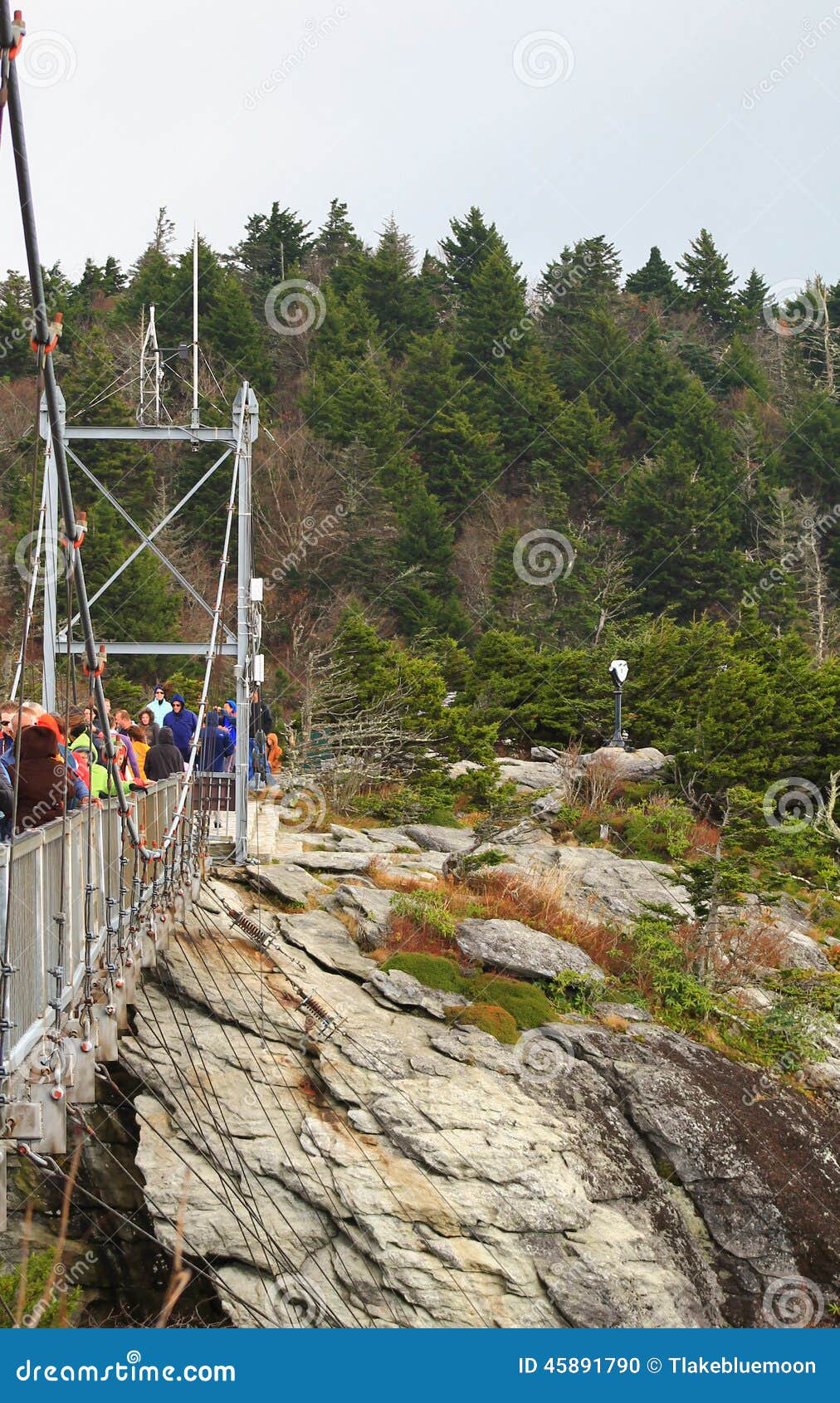 Swinging Bridge Side View editorial image. Image of vacation - 45891790