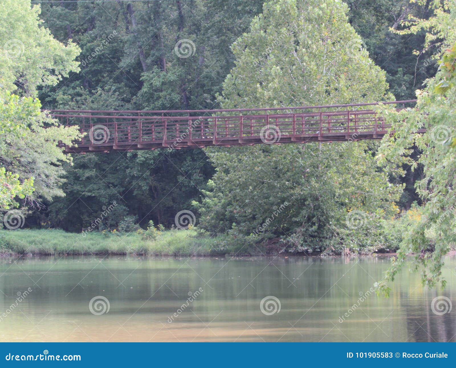 Swinging bridge stock image. Image of swinging, water - 101905583