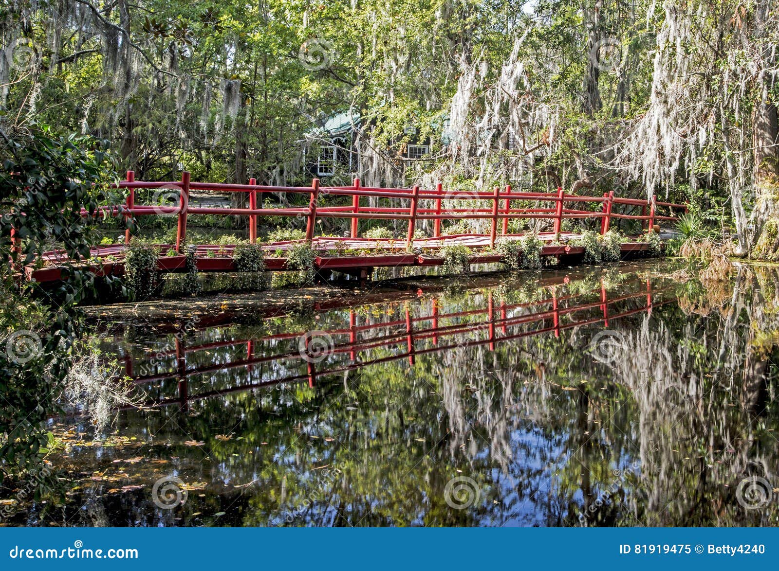 Swinging Bridge Water Reflections. Stock Image - Image of leaves, swamp ...