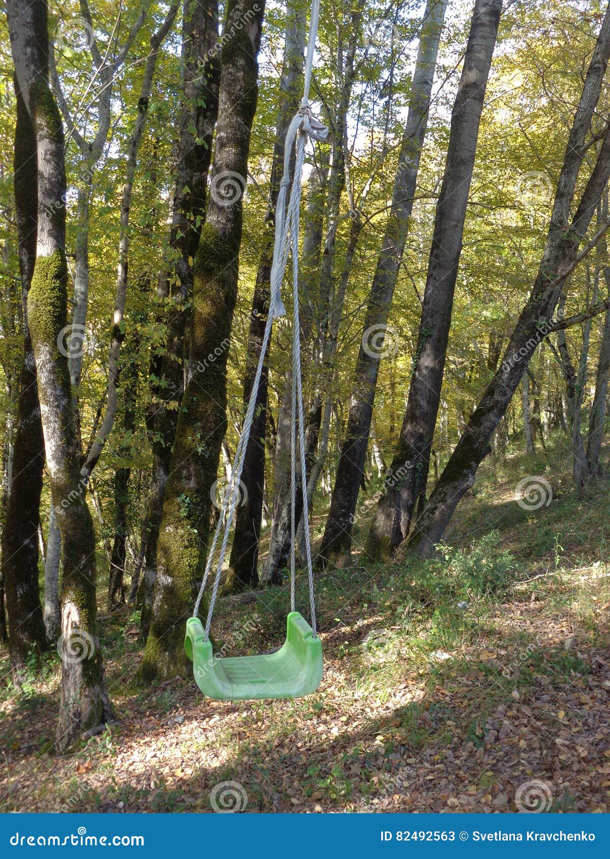 Swings in autumn forest stock image. Image of woods, russia - 82492563