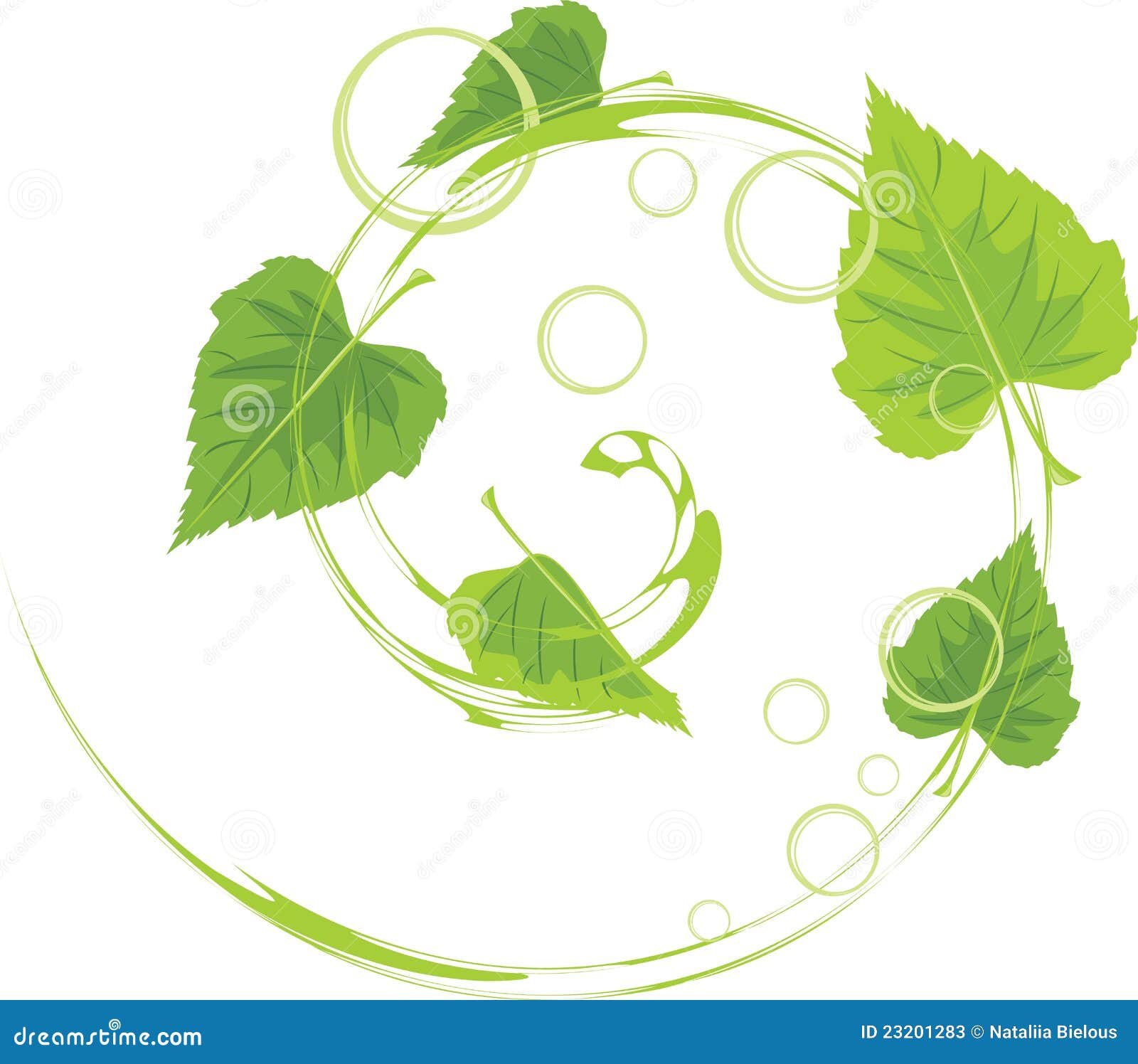 Swirl of Birch Leaves and Bubbles Stock Vector - Illustration of plant ...