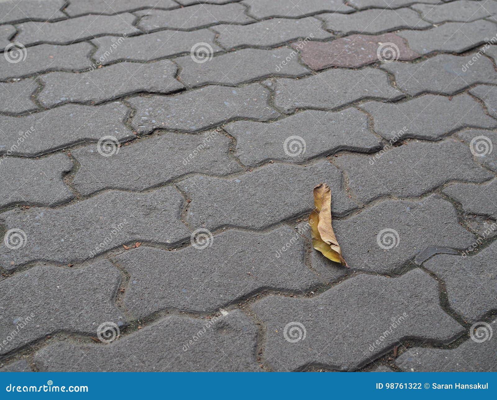 Swirl Pattern Cement Brick Tile Floor with Fallen Leaf Stock Photo ...