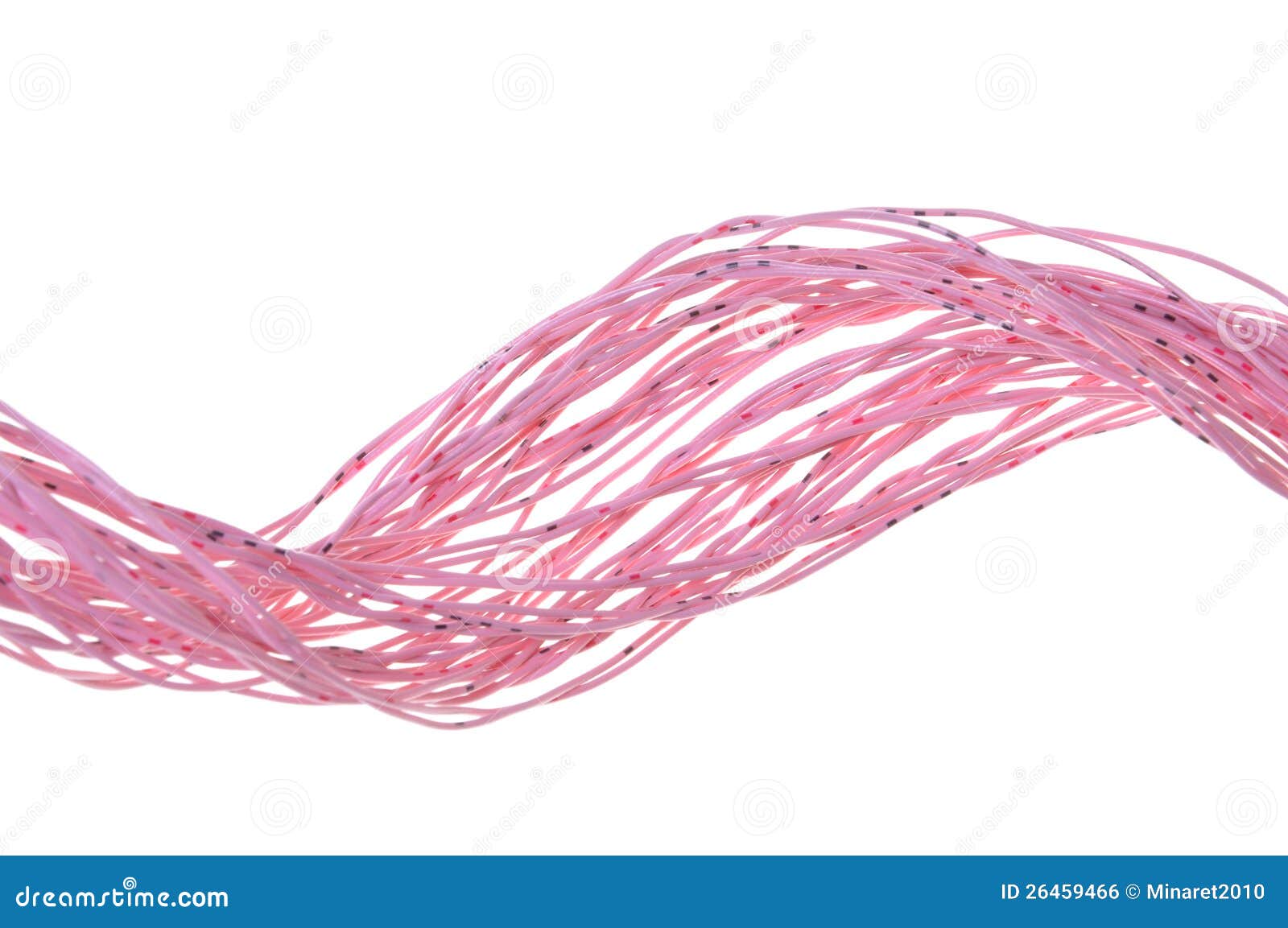 Swirl pink cable isolated stock photo. Image of connect - 26459466