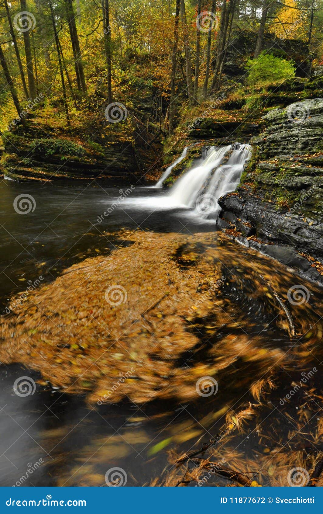 Swirling Autumn Leaves stock photo. Image of waterfall - 11877672