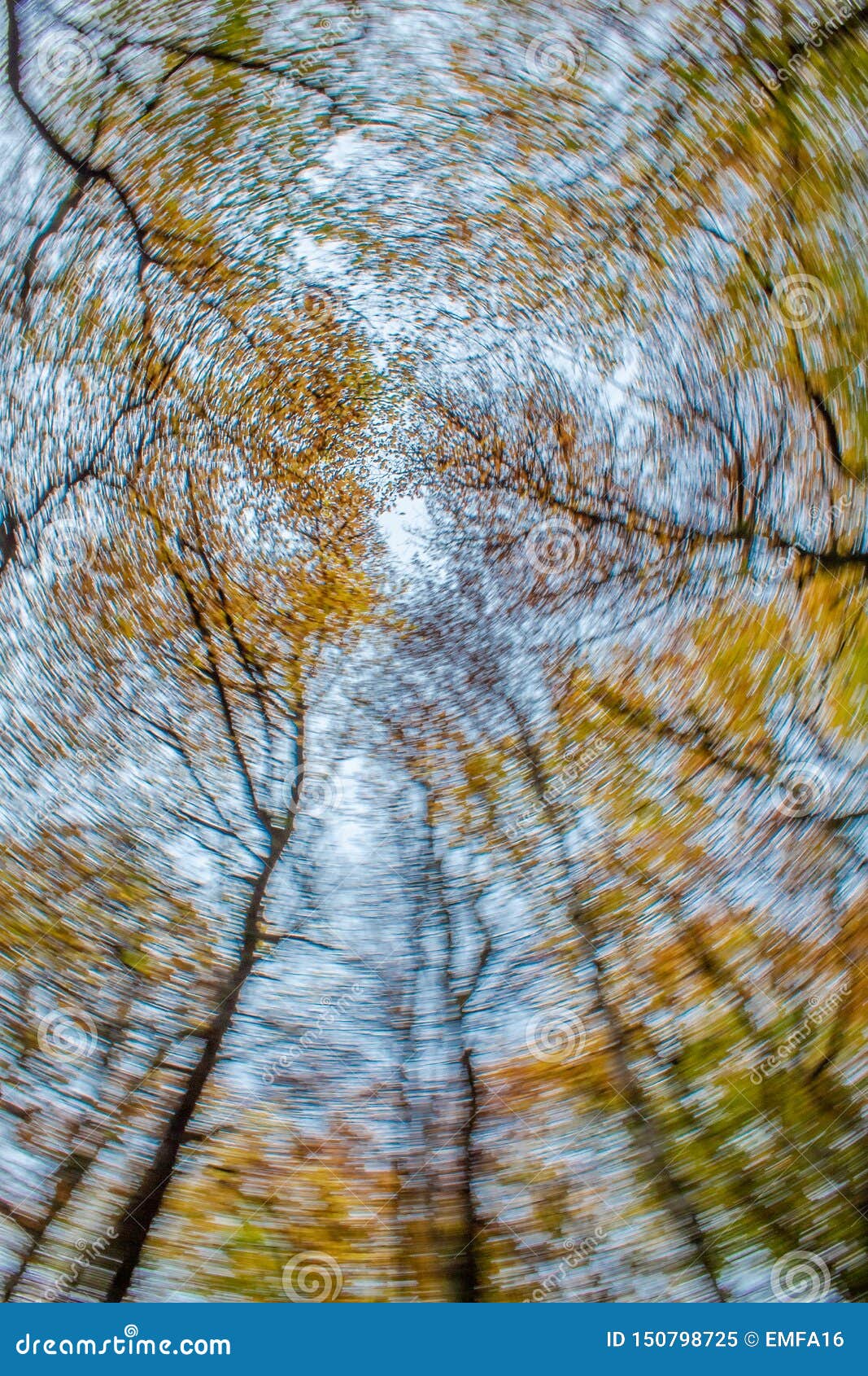 Swirling Tree Royalty-Free Stock Photo | CartoonDealer.com #54374475