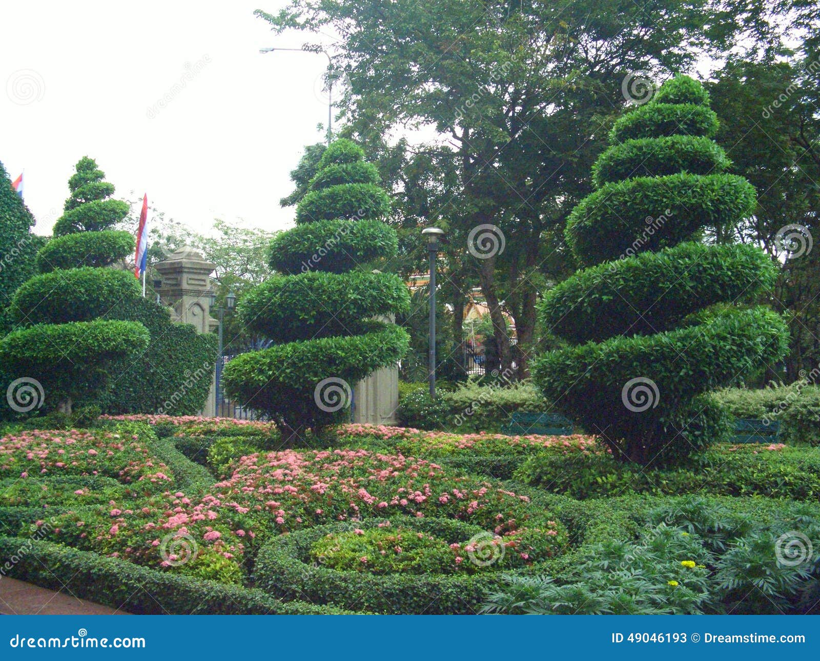 Swirling cone shaped trees stock image. Image of swirling - 49046193