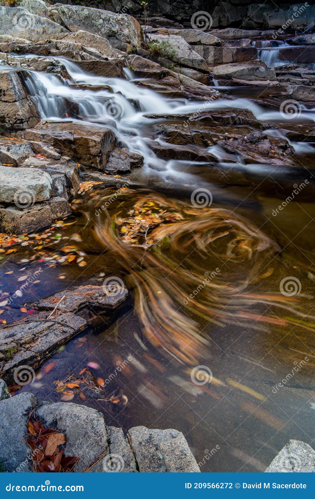 Swirling Leafs in the Water Stock Photo - Image of hampshire, waterfall ...