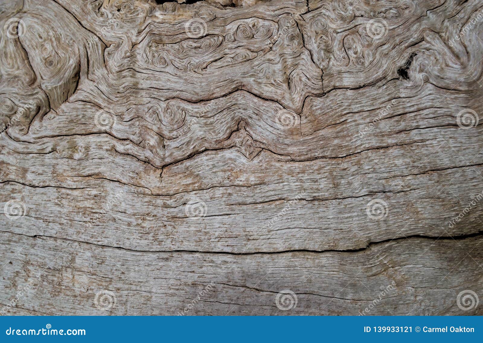 Patterns in natural wood. stock image. Image of background - 139933121