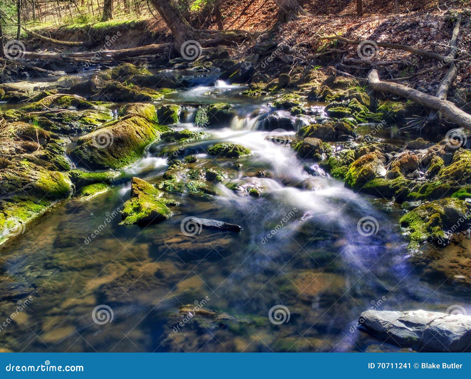 Swirling Stream into a Tiny Pond Stock Image - Image of tranquility ...