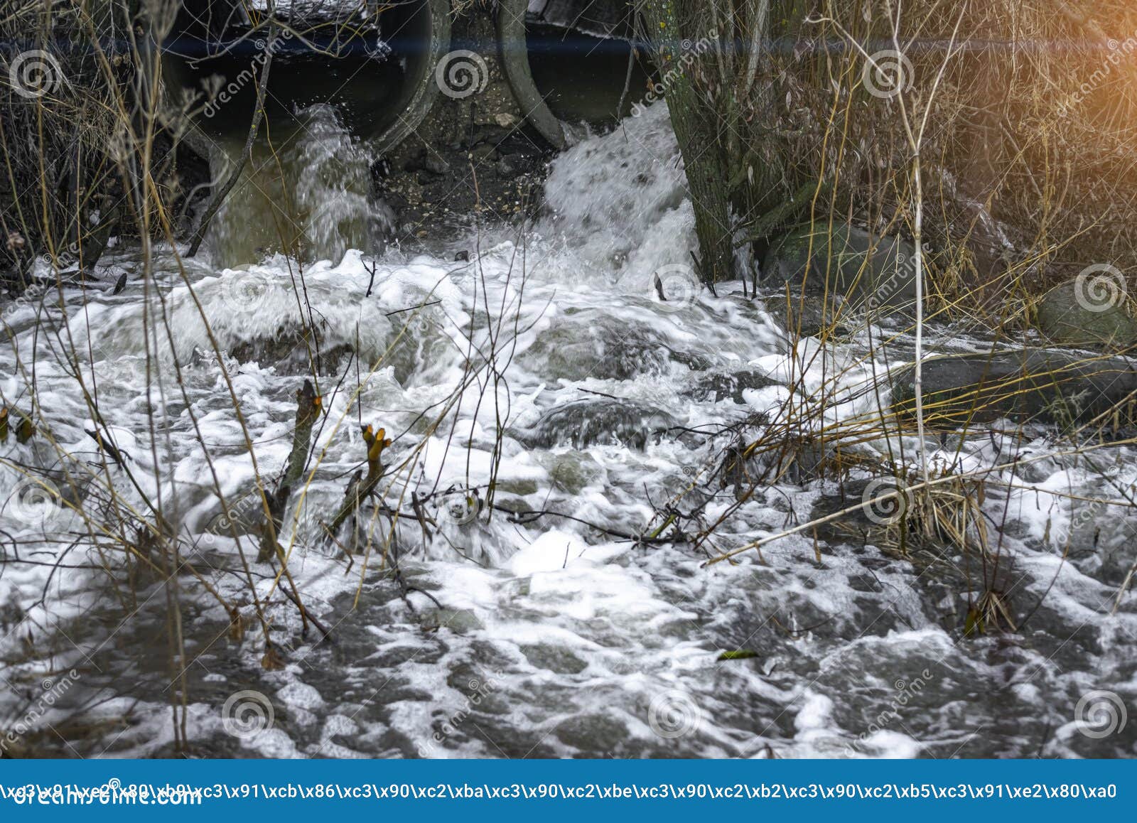 Bubbling Streams of Spring Meltwater Stock Image - Image of boiling ...