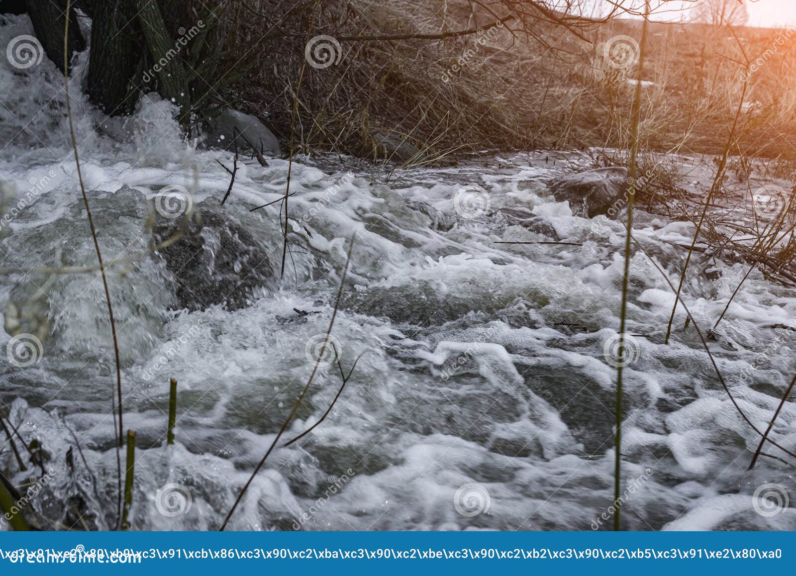 Bubbling Streams of Spring Meltwater Stock Photo - Image of purity ...