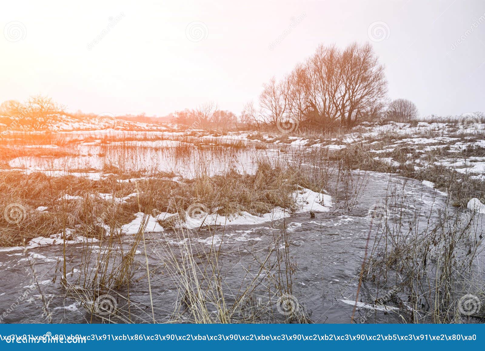 Bubbling Streams of Spring Meltwater Stock Image - Image of ...