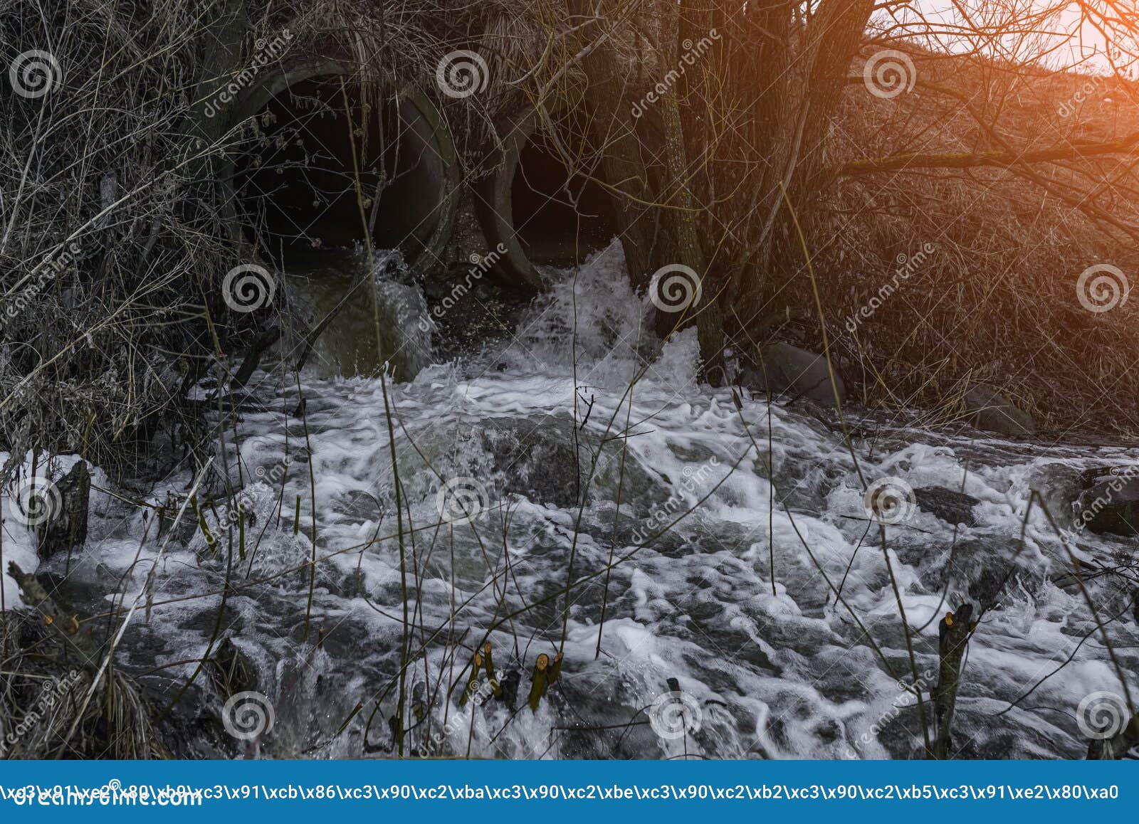Bubbling Streams of Spring Meltwater Stock Image - Image of natural ...