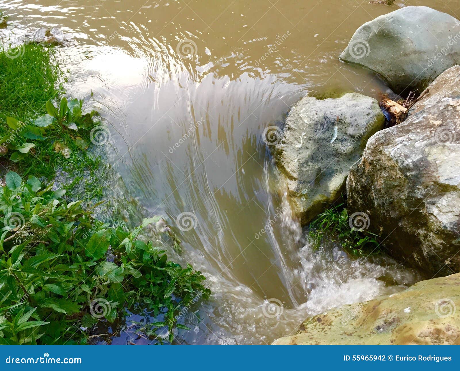 Swirling water stock photo. Image of running, water, swirling - 55965942