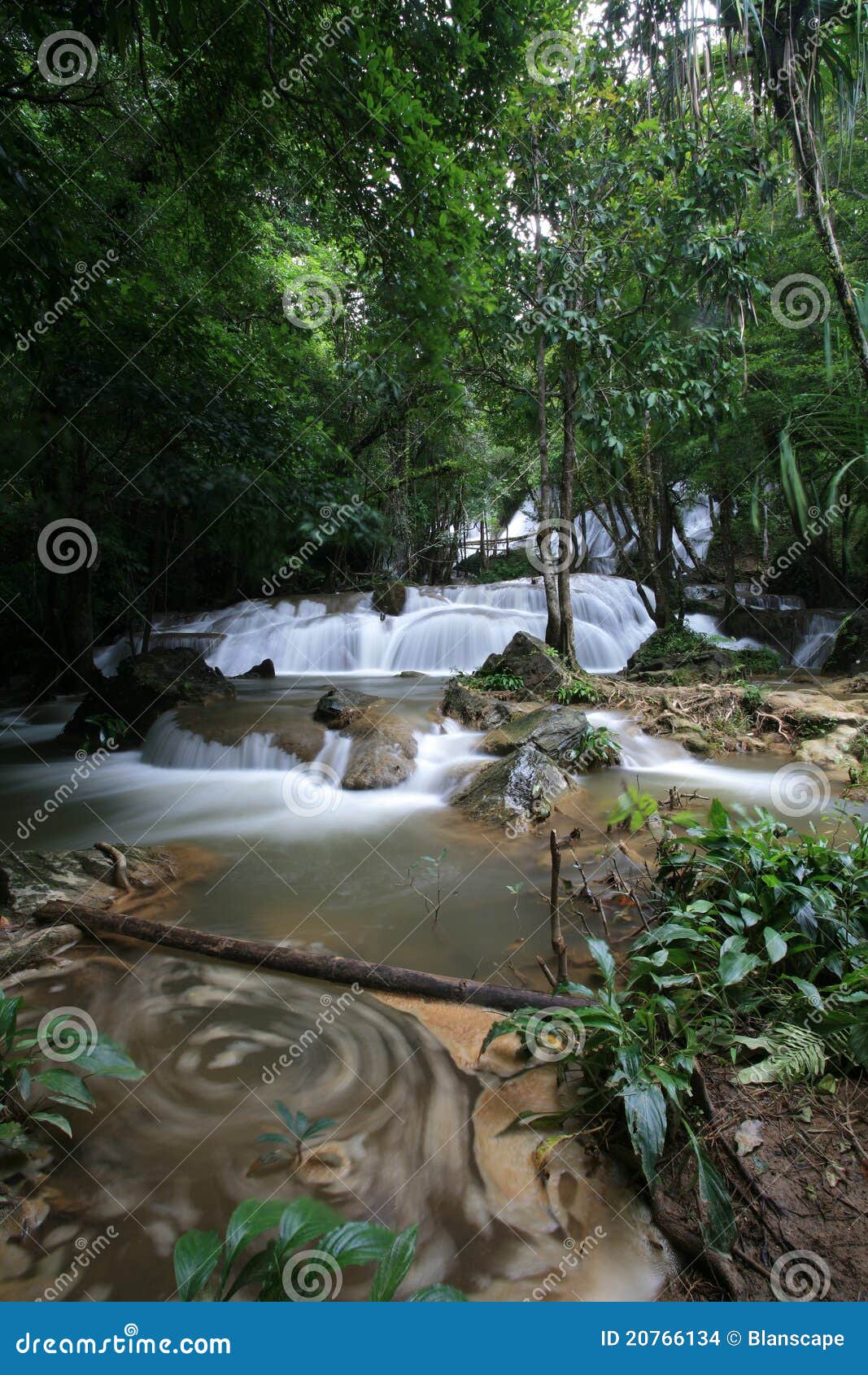 Swirling Water on Rainforest Waterfall Stock Photo - Image of rivulet ...